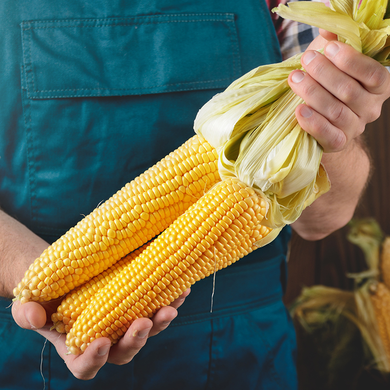 Semenarna | b2b.semenarna